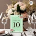 Printable Table Numbers Birthday Table Numbers Birthday - Etsy