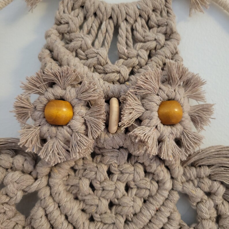 Macrame Owl Wall Hanging - Etsy