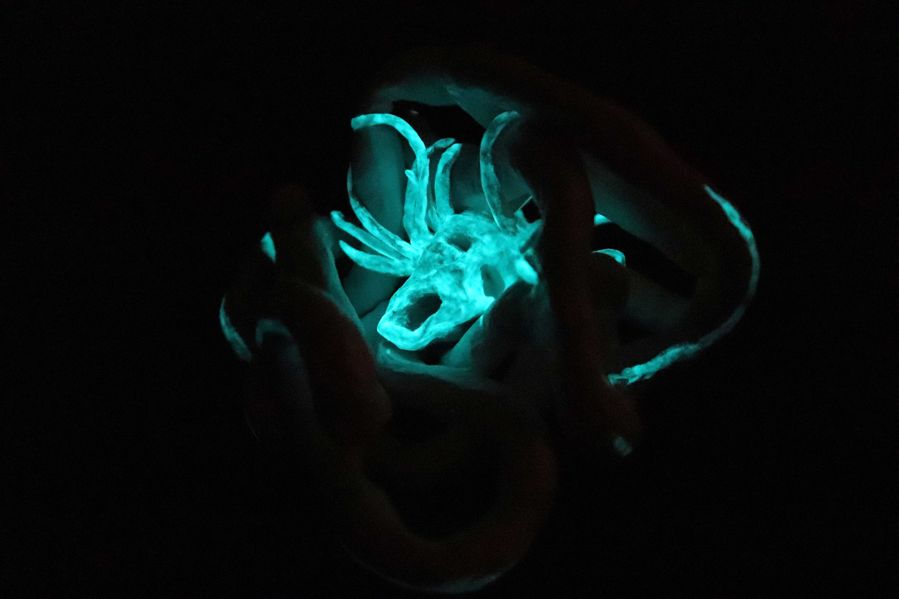 Glow in the Dark Demon Sculpture in Polymer Clay Luminescent - Etsy UK
