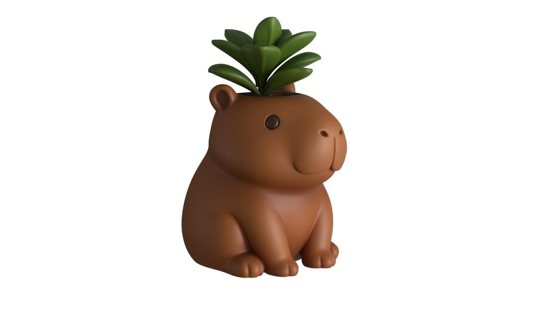 Cute Capybara Planter Pot With Succulent Holder, Adorable Animal Decor ...