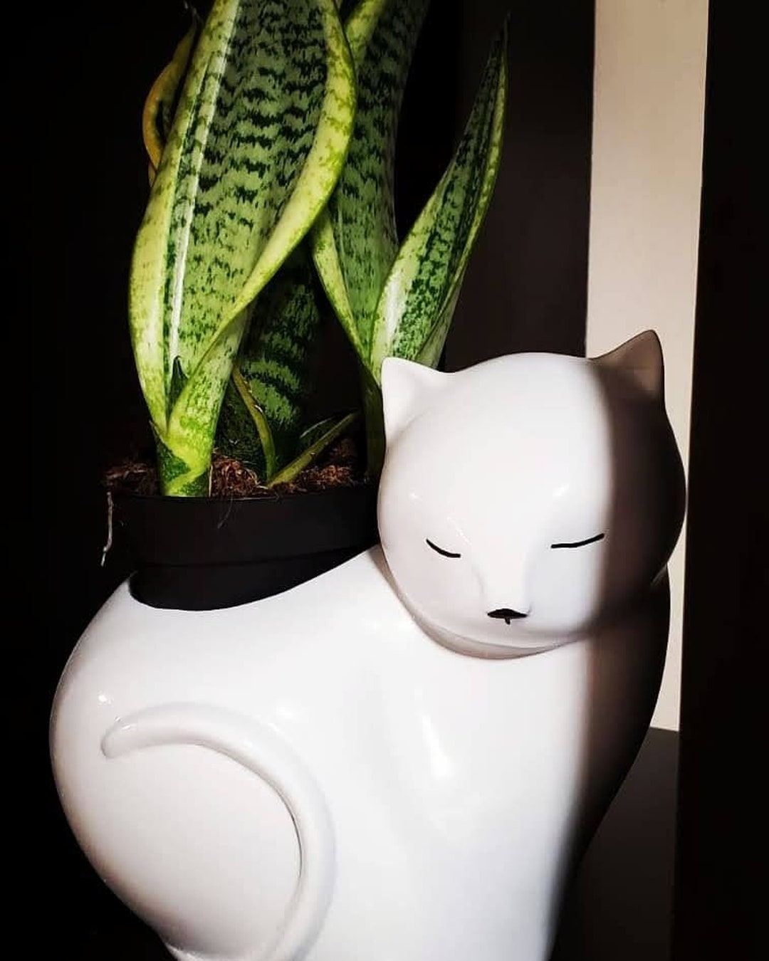 Cat Planter, Plant Stand, Indoor Planter, Succulent Decoration, 3d ...