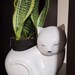 Cat Planter, Plant Stand, Indoor Planter, Succulent Decoration, 3d ...
