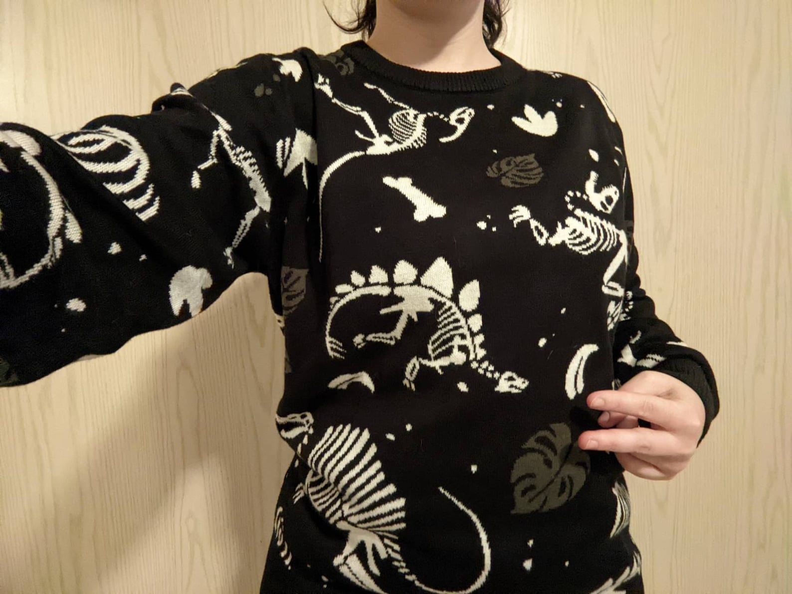 Dinosaur Fossil Knit Sweater Pullover - Etsy