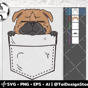 Cute Pocket Animals SVG Bundle, Cricut & Silhouette Cut Files - Etsy