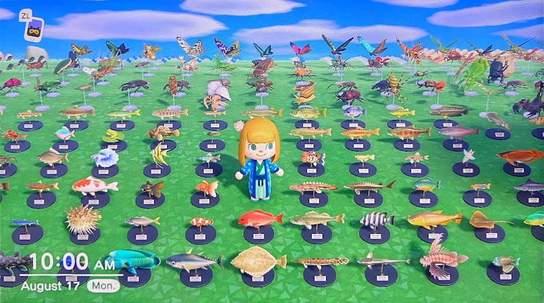 Complete 80 Fish Models ACNH | Etsy