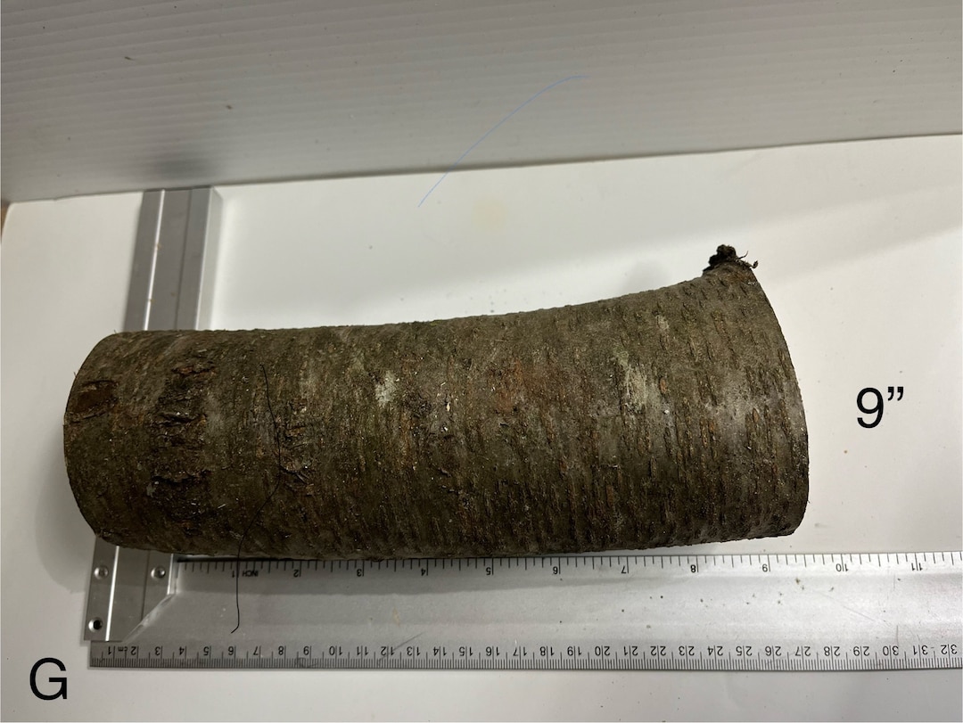 Cherry Wood Log - Etsy