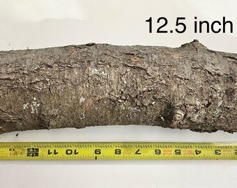 Cherry Wood Log - Etsy