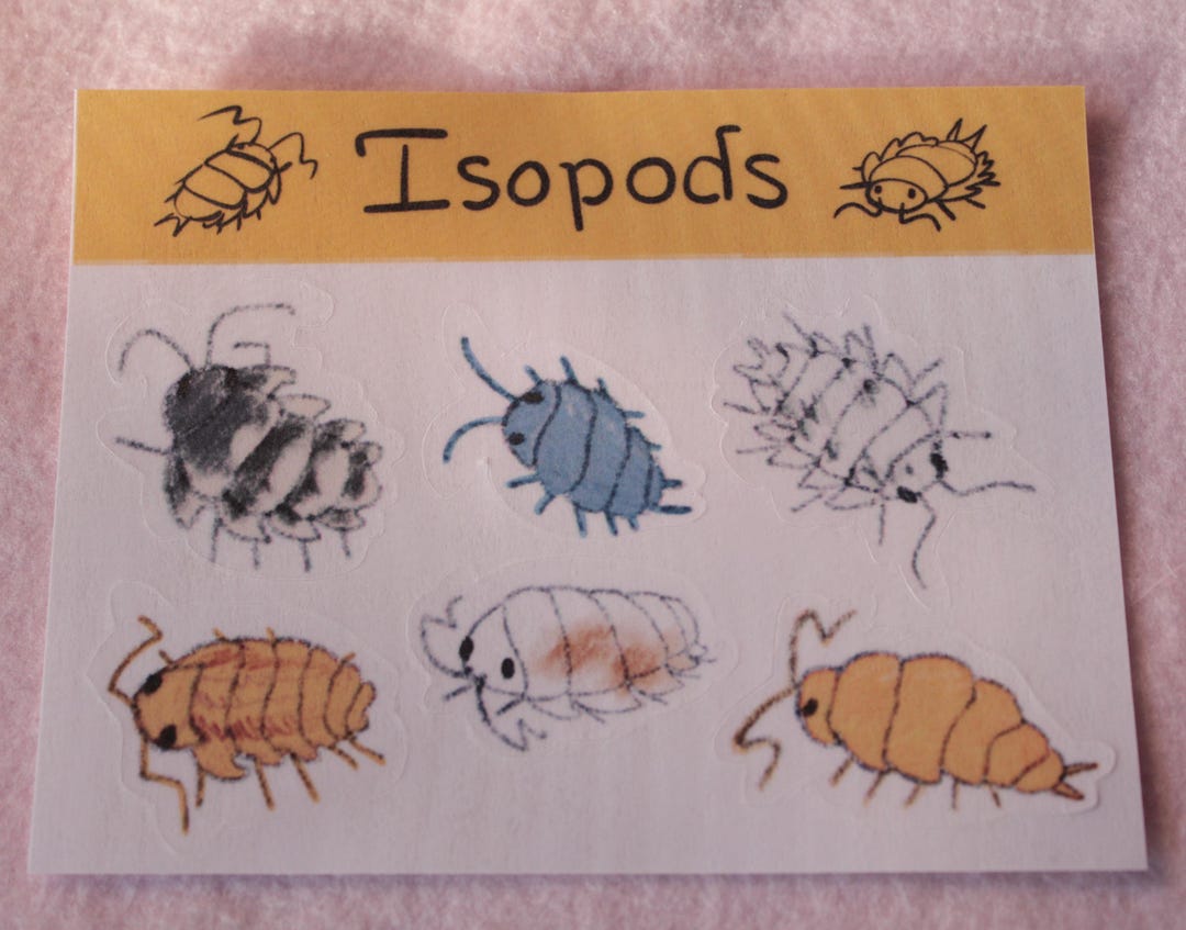 Isopod Small Sticker Sheet - Etsy