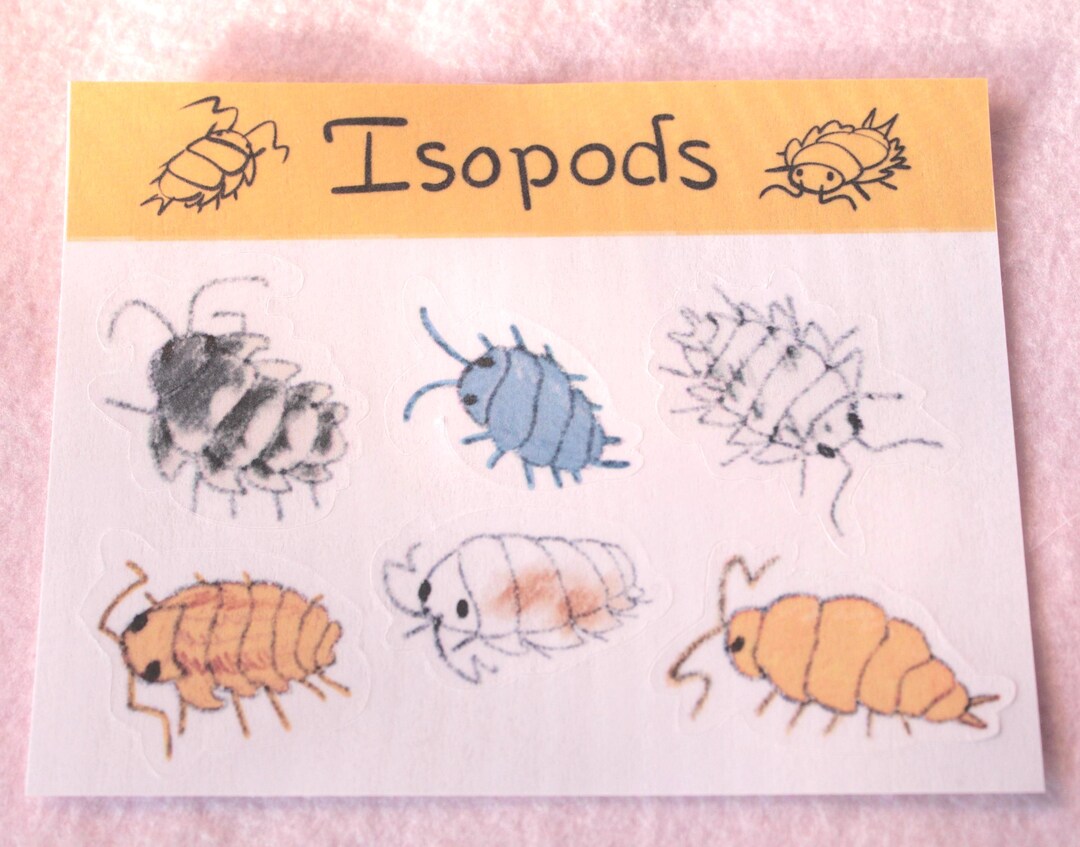 Isopod Mini Sticker Sheet - Etsy
