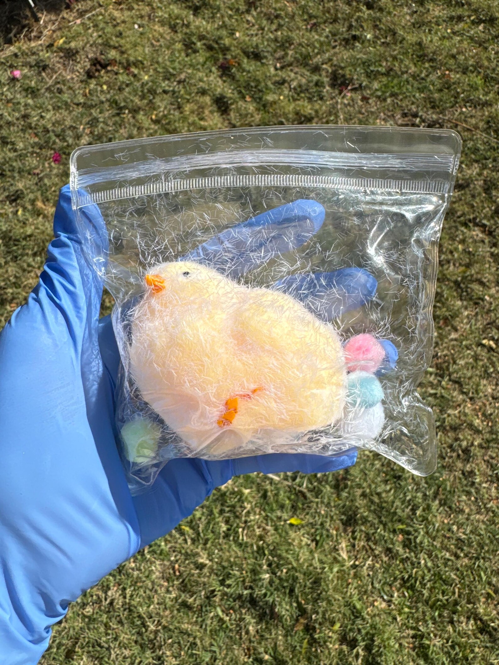 Taba Squishy Chick Fidget Toy Stress Releiving Toy Sensory Toy - Etsy