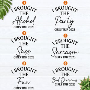 I Brought the Shirt, Girls Trip Shirts, Girls Weekend Shirt, Beach Party Shirts, Girls Party ...