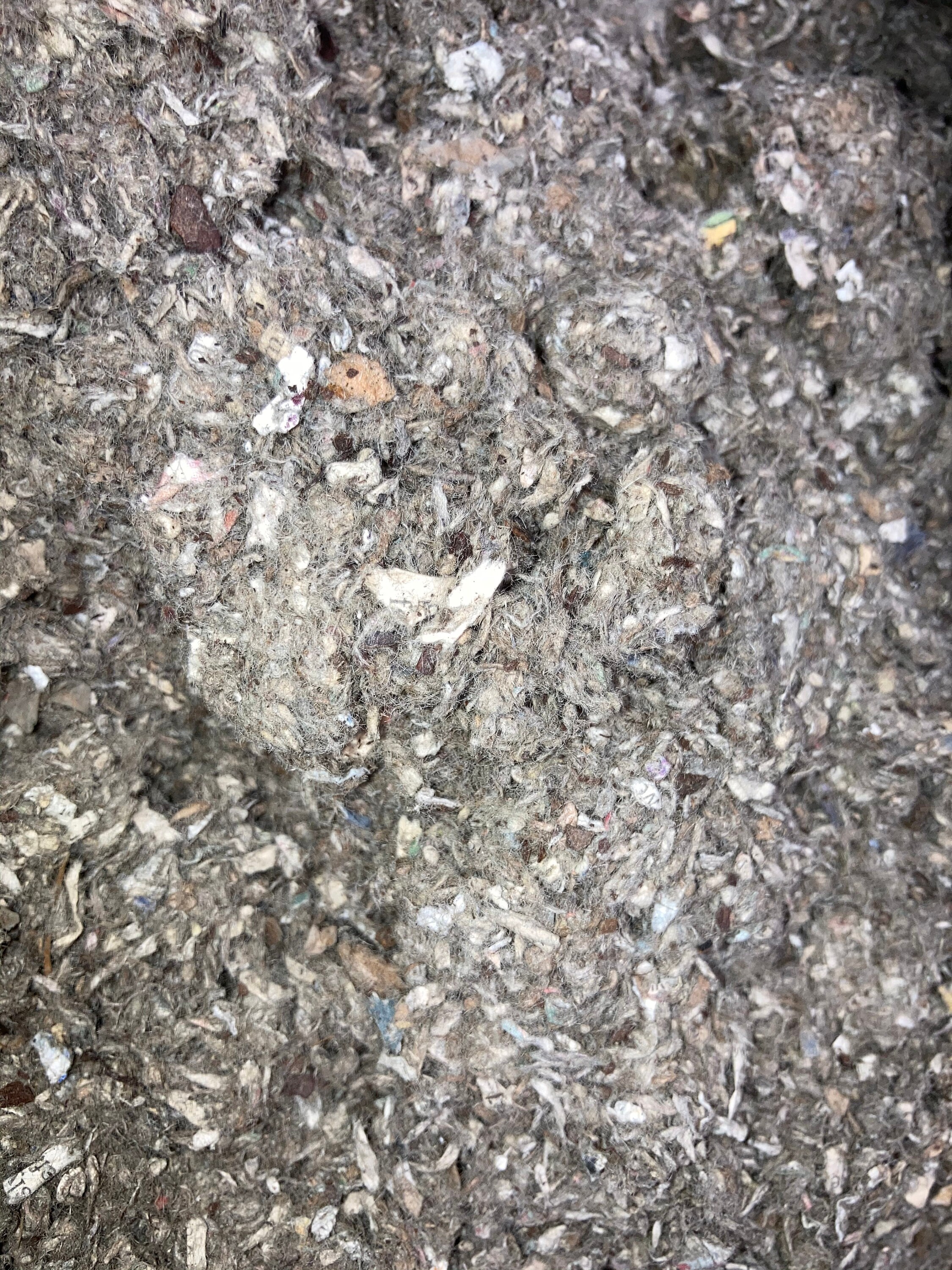 Royal All Natural Worm Bedding - Etsy