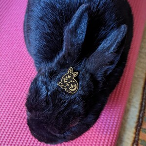 Moon Rabbit Miso Enamel Pin - Year of the Rabbit - Etsy