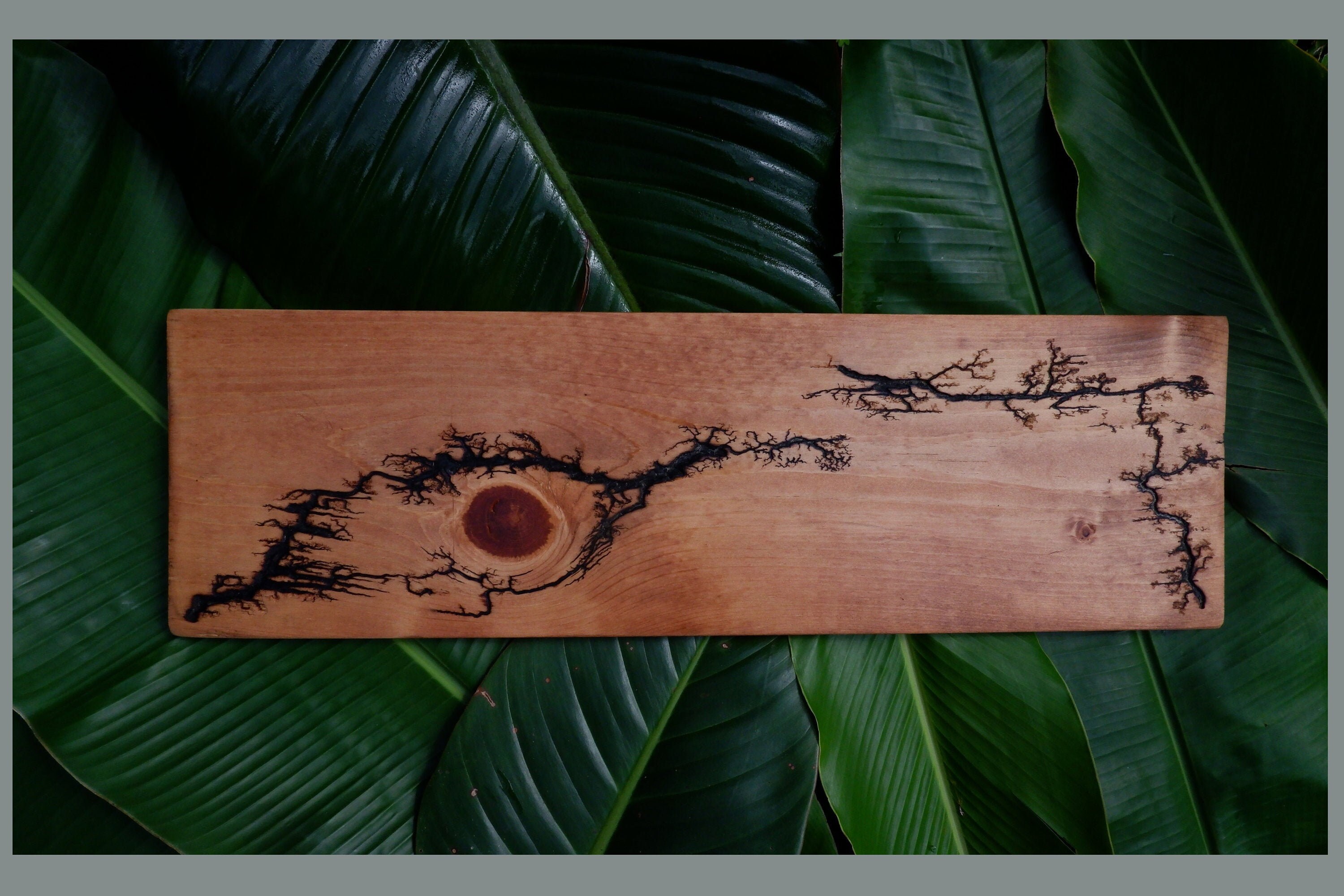 Fractal Wood Artclassic Burn - Etsy