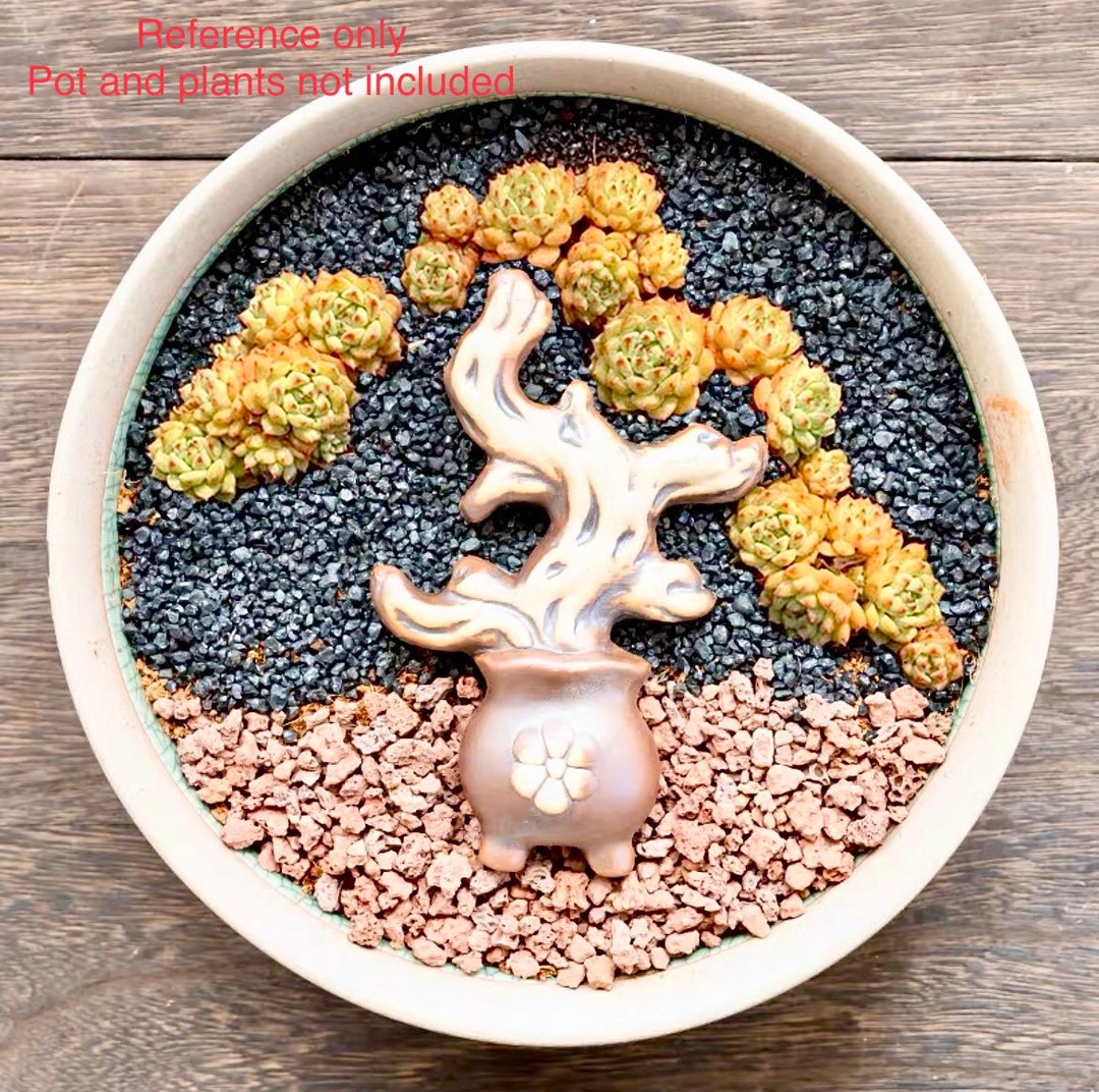 Ceramic Tree Branches, Succulent Decoration, Tree Trunks for Succulents ...