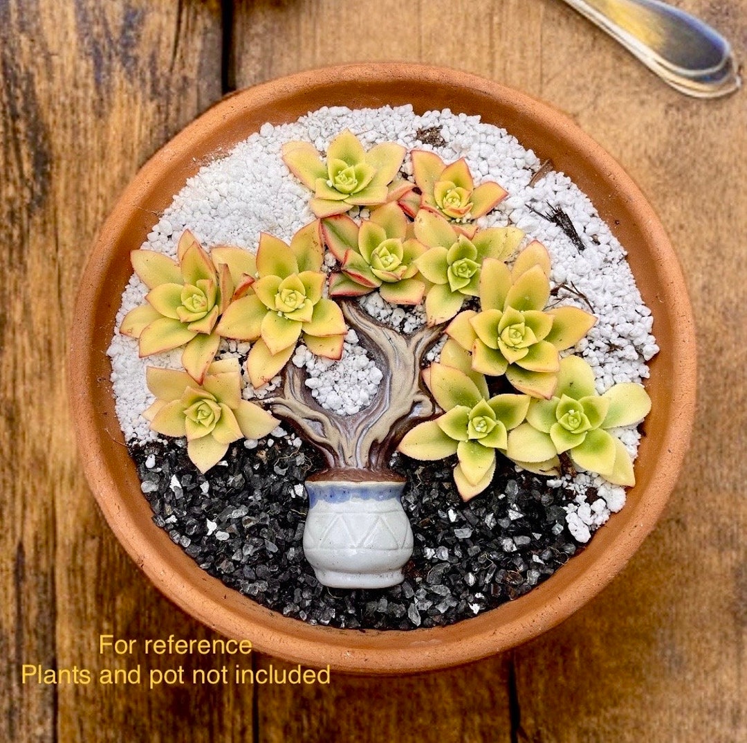 Ceramic Tree Branches, Succulent Decoration, Tree Trunks for Succulents ...