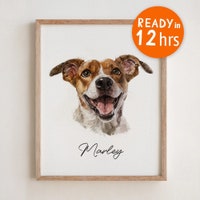 Dog Portrait - Etsy