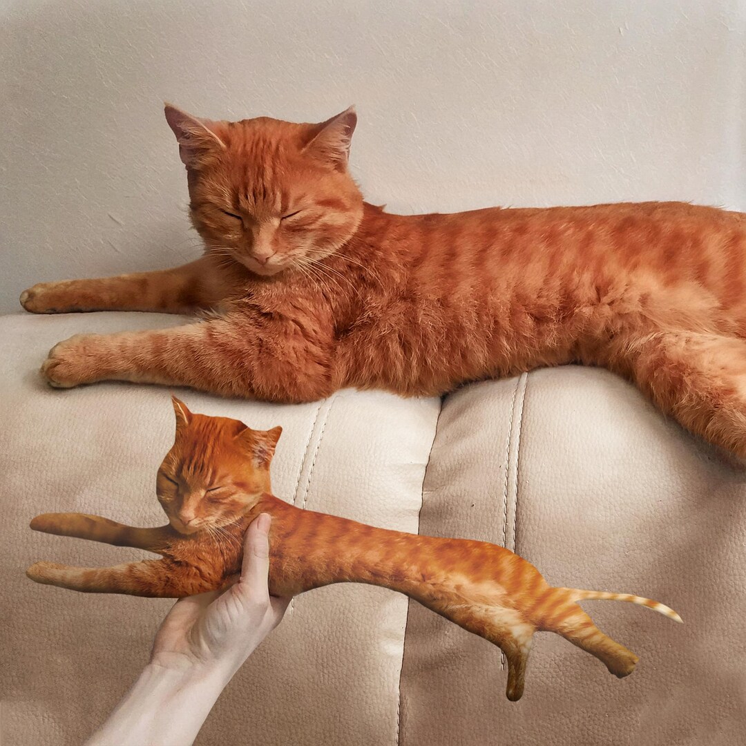 Ugly Pet Pillow, Hot Ugly Dog, Ugly Cat Pillow, Pet Body Pillow, Funny ...