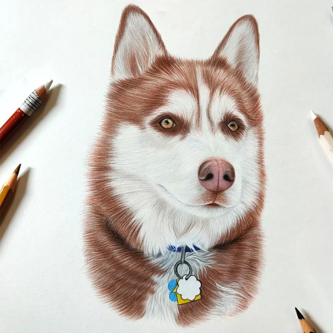 Pencil Pet Colored Pencil Pet Portrait Detailed Hand Drawn Pet Portrait ...