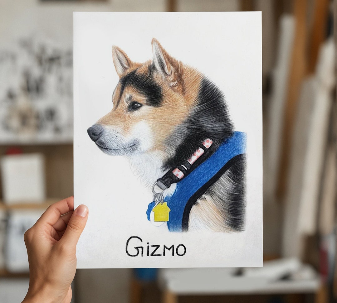 Custom Pencil Pet Portrait, Hand-drawn Pet, Dog Sketch From Photo ...