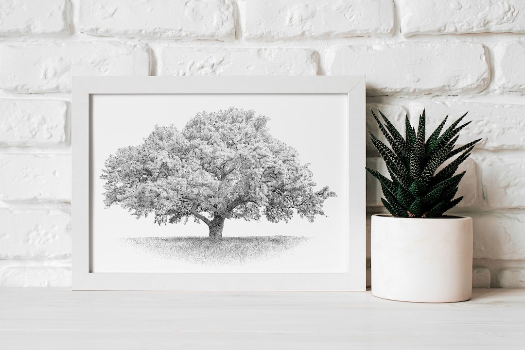 Lone Oak II - Oak Tree Ink Drawing - Original Giclée Print - Wall Art ...