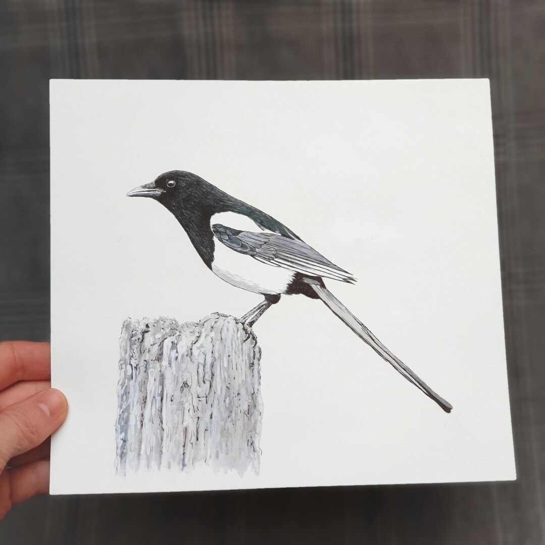 Magpie - Pen and Ink Drawing - Original Artwork - Wall Art - Etsy