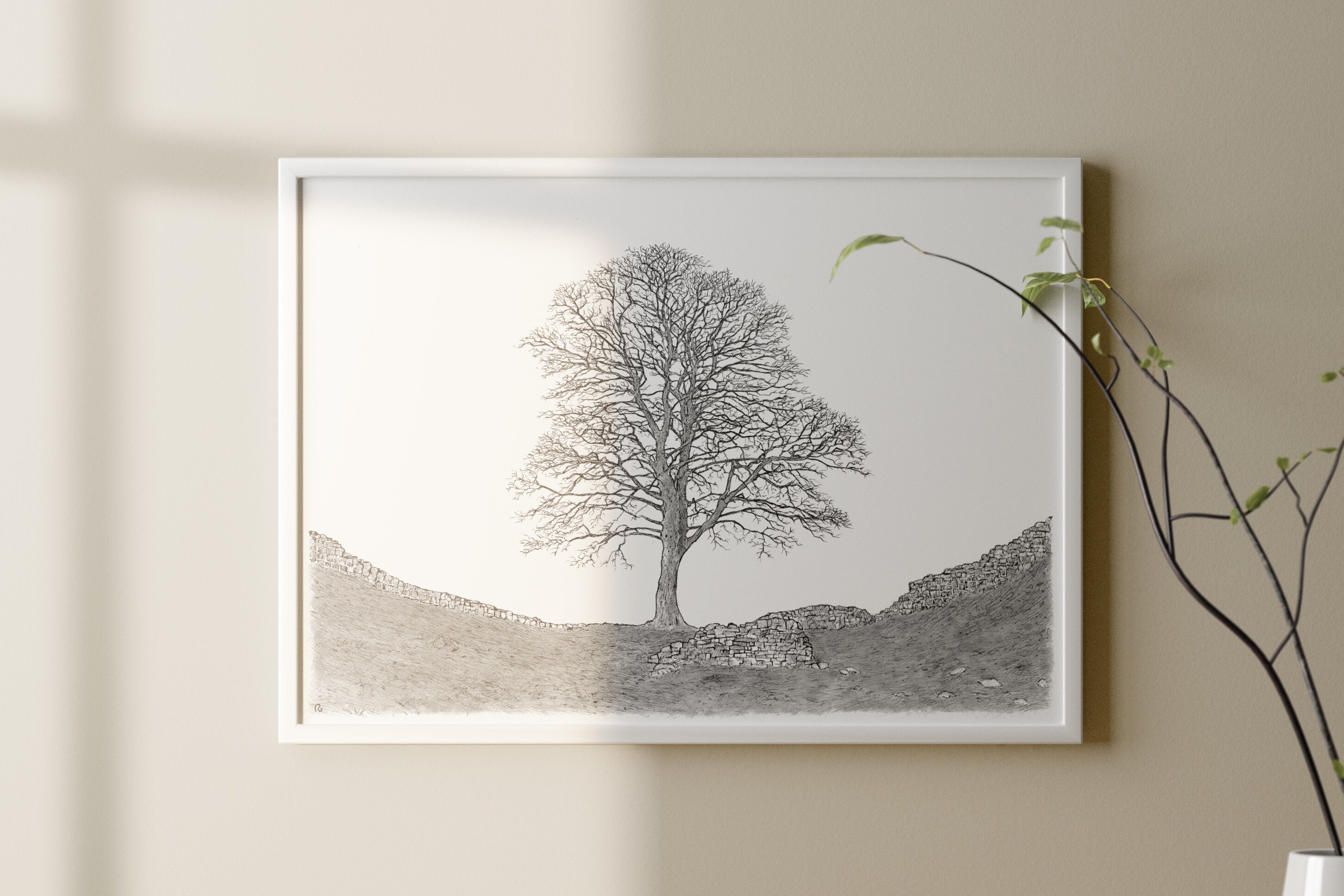 Sycamore Gap in Winter Original Ink Drawing - Etsy
