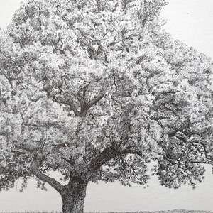 Lone Oak II - Oak Tree Ink Drawing - Original Art - Wall Art - Etsy
