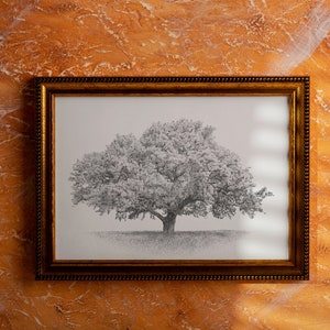 Lone Oak II - Oak Tree Ink Drawing - Original Art - Wall Art - Etsy