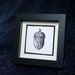 Acorn Lino Print - Etsy UK