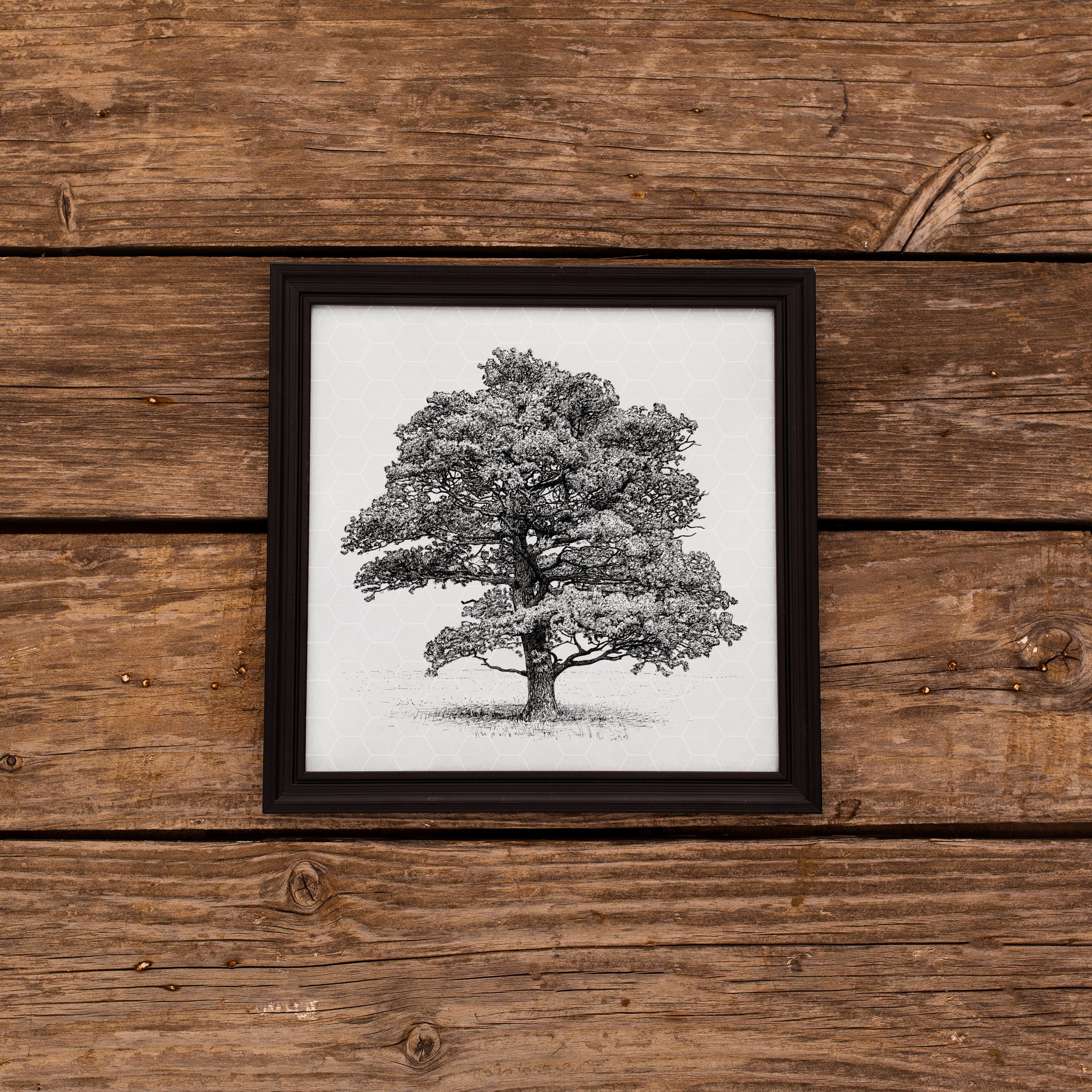 Lone Oak - Original Giclée Print - Oak Tree Pen and Ink Drawing ...