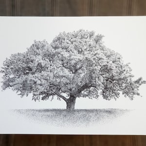 Lone Oak II - Oak Tree Ink Drawing - Original Giclée Print - Wall Art ...