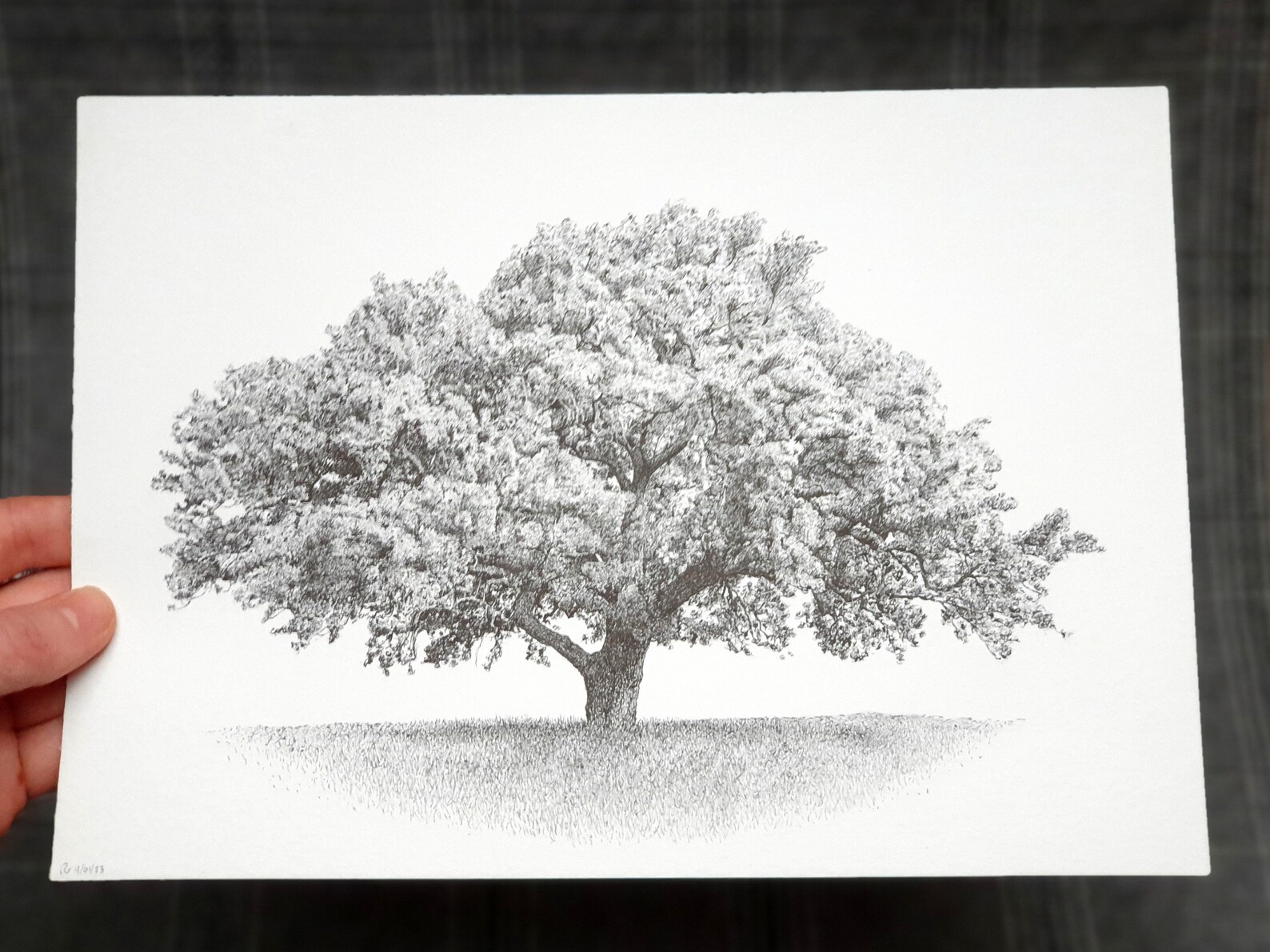 Lone Oak II Oak Tree Ink Drawing Original Art Wall Art - Etsy
