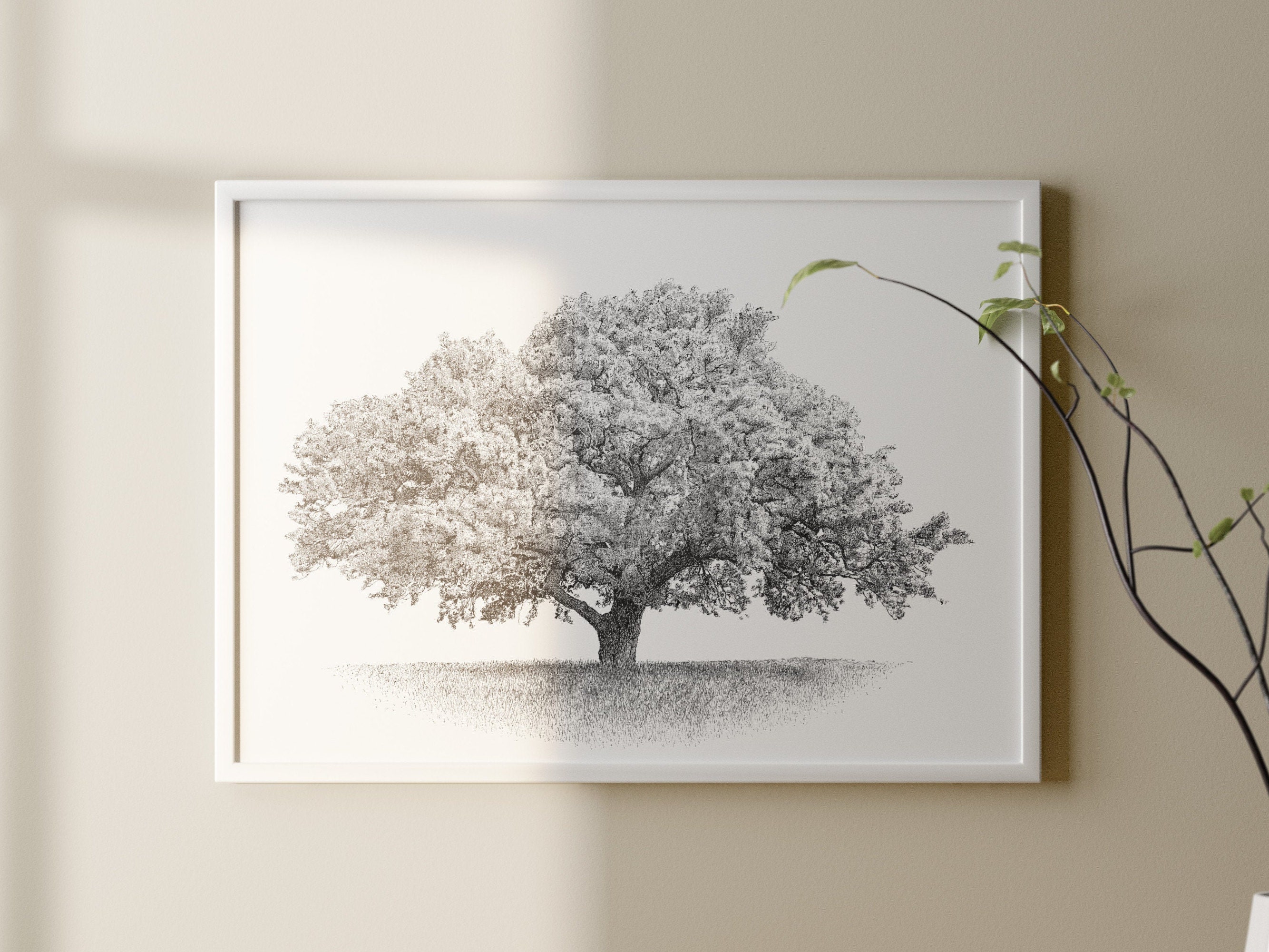 Lone Oak II Oak Tree Ink Drawing Original Art Wall Art - Etsy