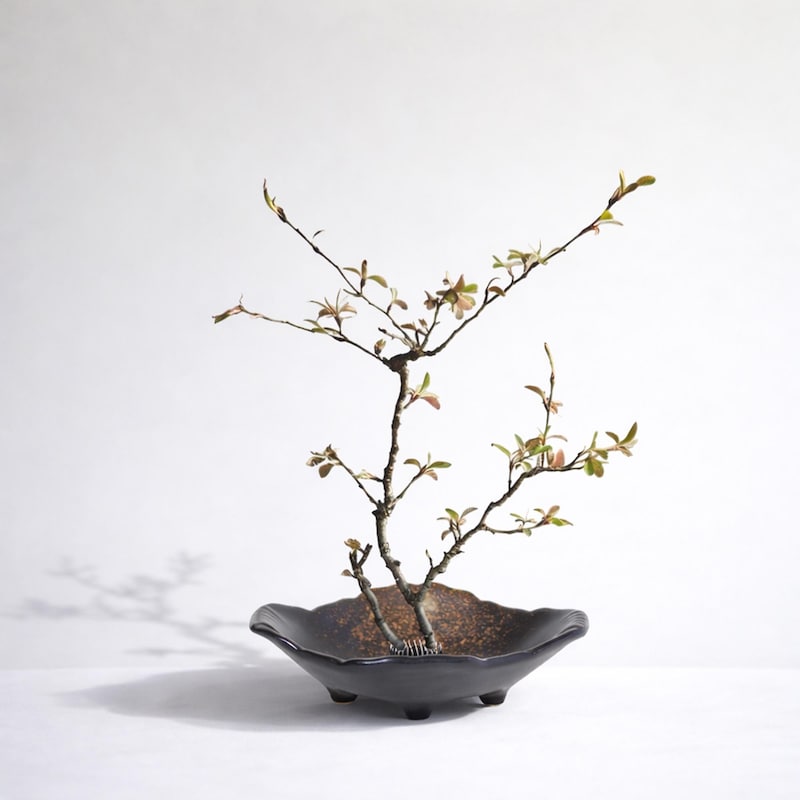 Ceramic Low Profile Vase - Etsy