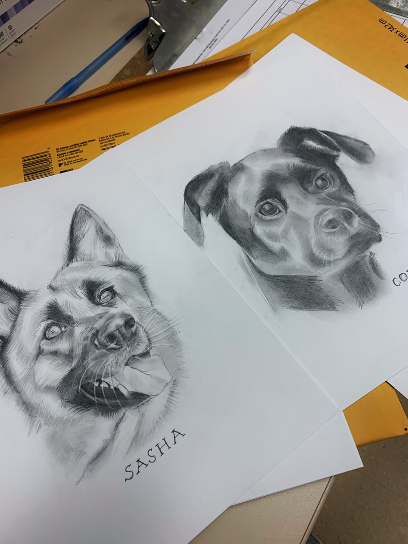 Custom Hand Drawn Pet Portrait - Etsy