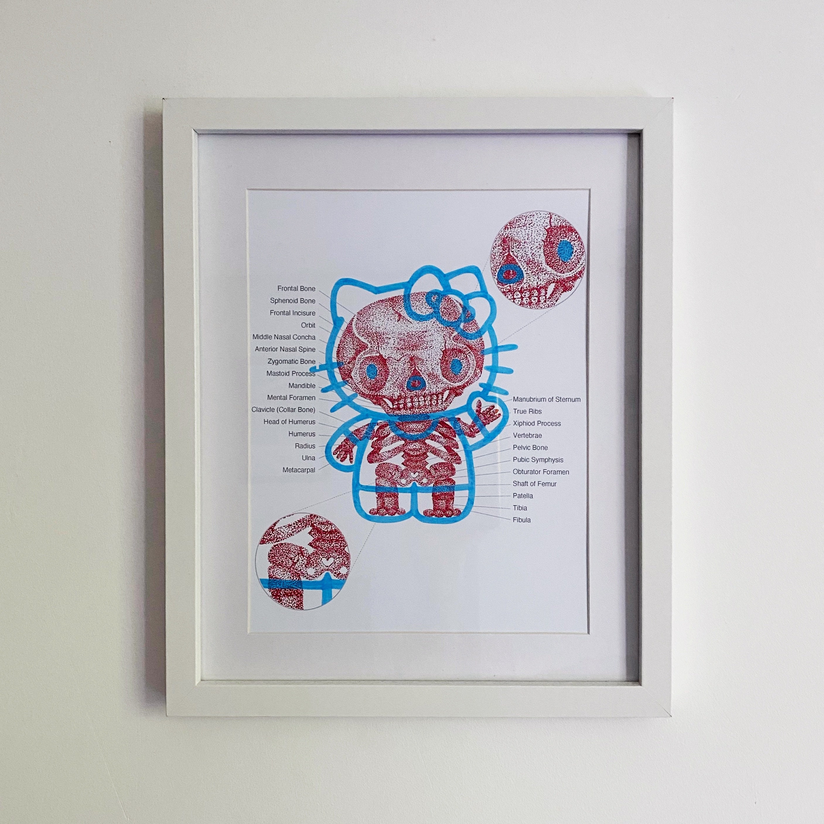 Skello Kitty Skeleton X-ray Diagram Pointillism - Etsy