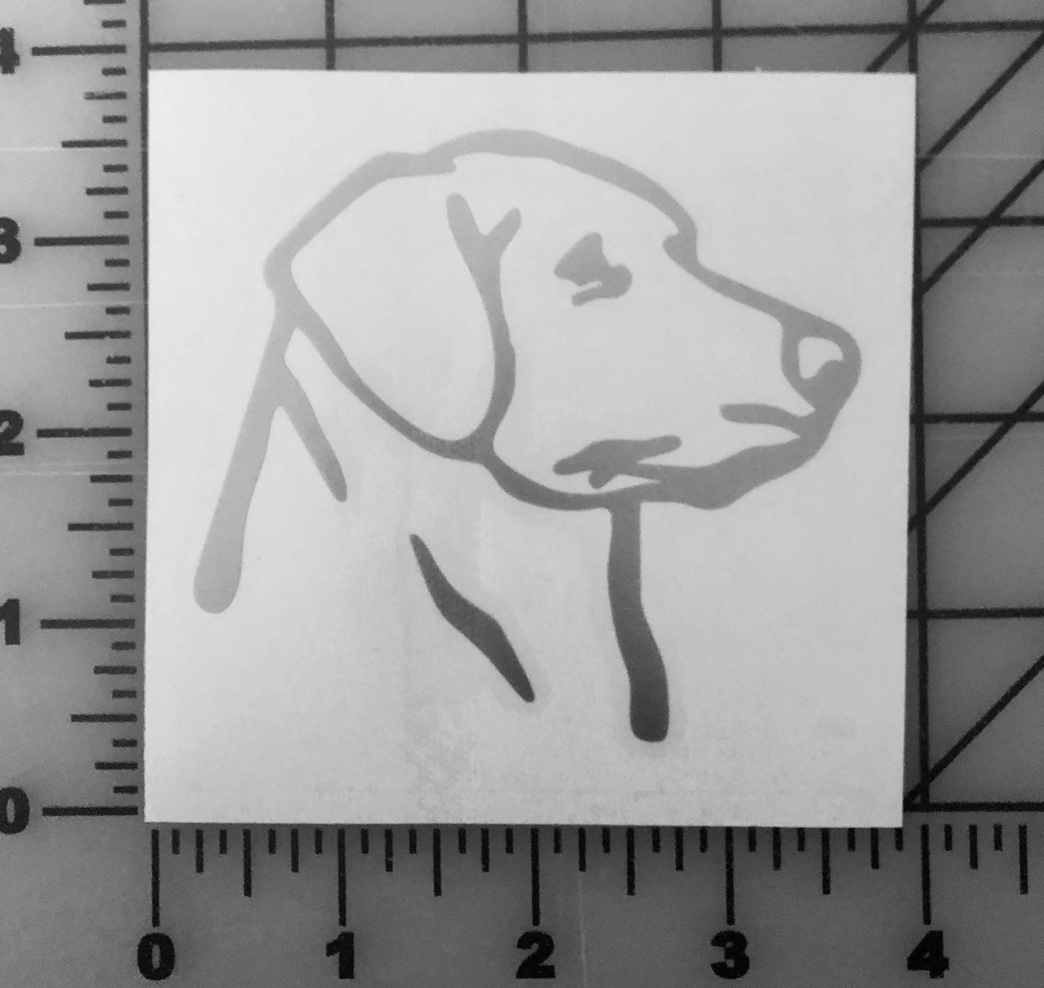 Lab Head Decal
