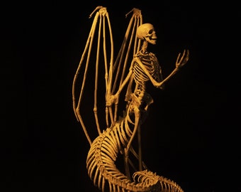 Sphinx Skeleton Curiosity Cabinet - Etsy