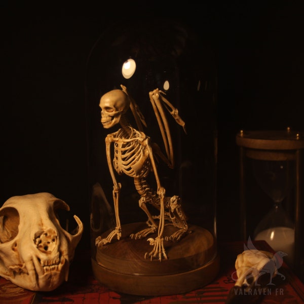 Curiosity Cabinet - Etsy