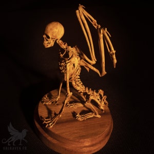 Sphinx Skeleton, Curiosity Cabinet - Etsy