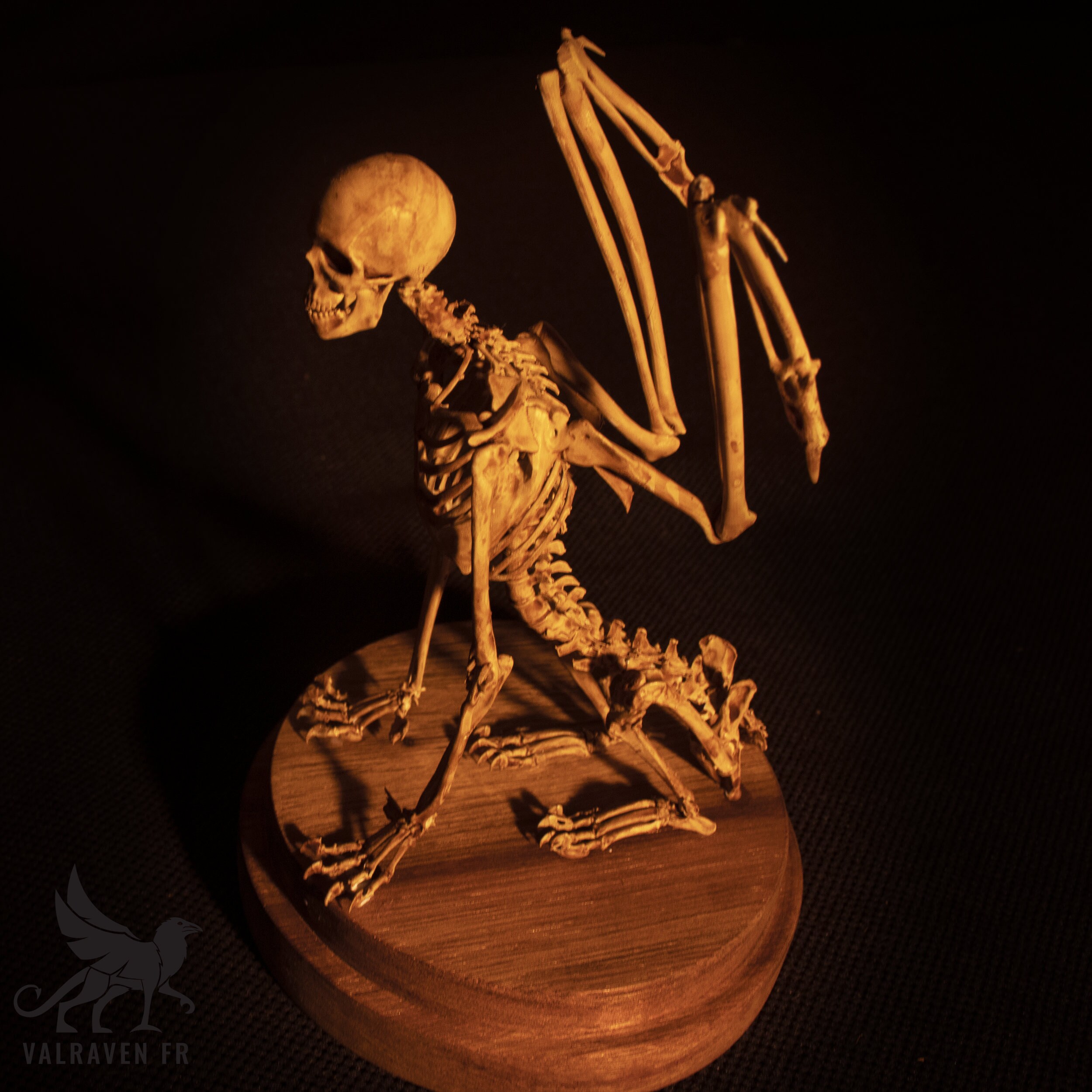Sphinx Skeleton Curiosity Cabinet - Etsy