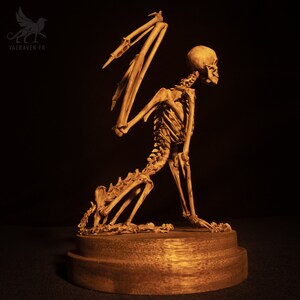 Sphinx Skeleton, Curiosity Cabinet - Etsy