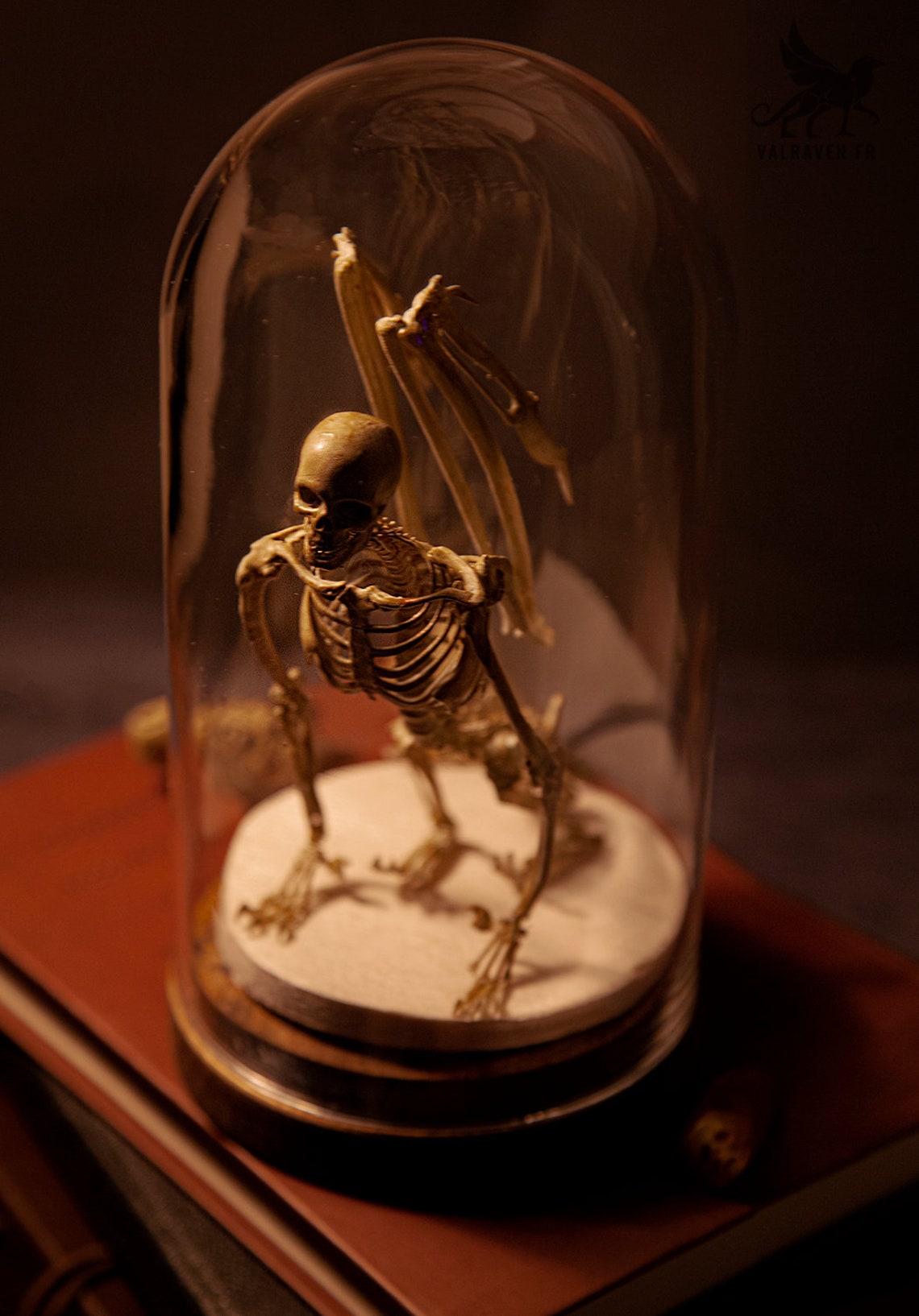 Sphinx Skeleton Curiosity Cabinet - Etsy