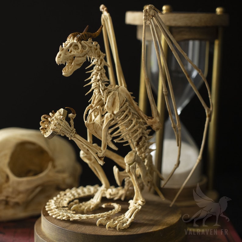 Dragonling Skeleton Curiosity Cabinet - Etsy