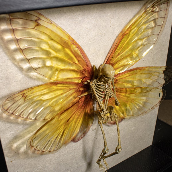 Fairy Skeleton - Etsy