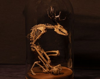 Wendigo Skeleton 3D Print Taxidermy Sculpture - Etsy