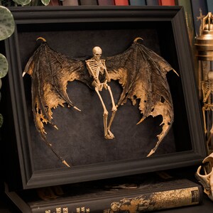 Bat Winged Demon Skeleton, Curiosity Cabinet - Etsy