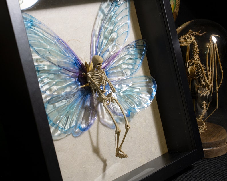 Fairy Skeleton Curiosity Cabinet - Etsy