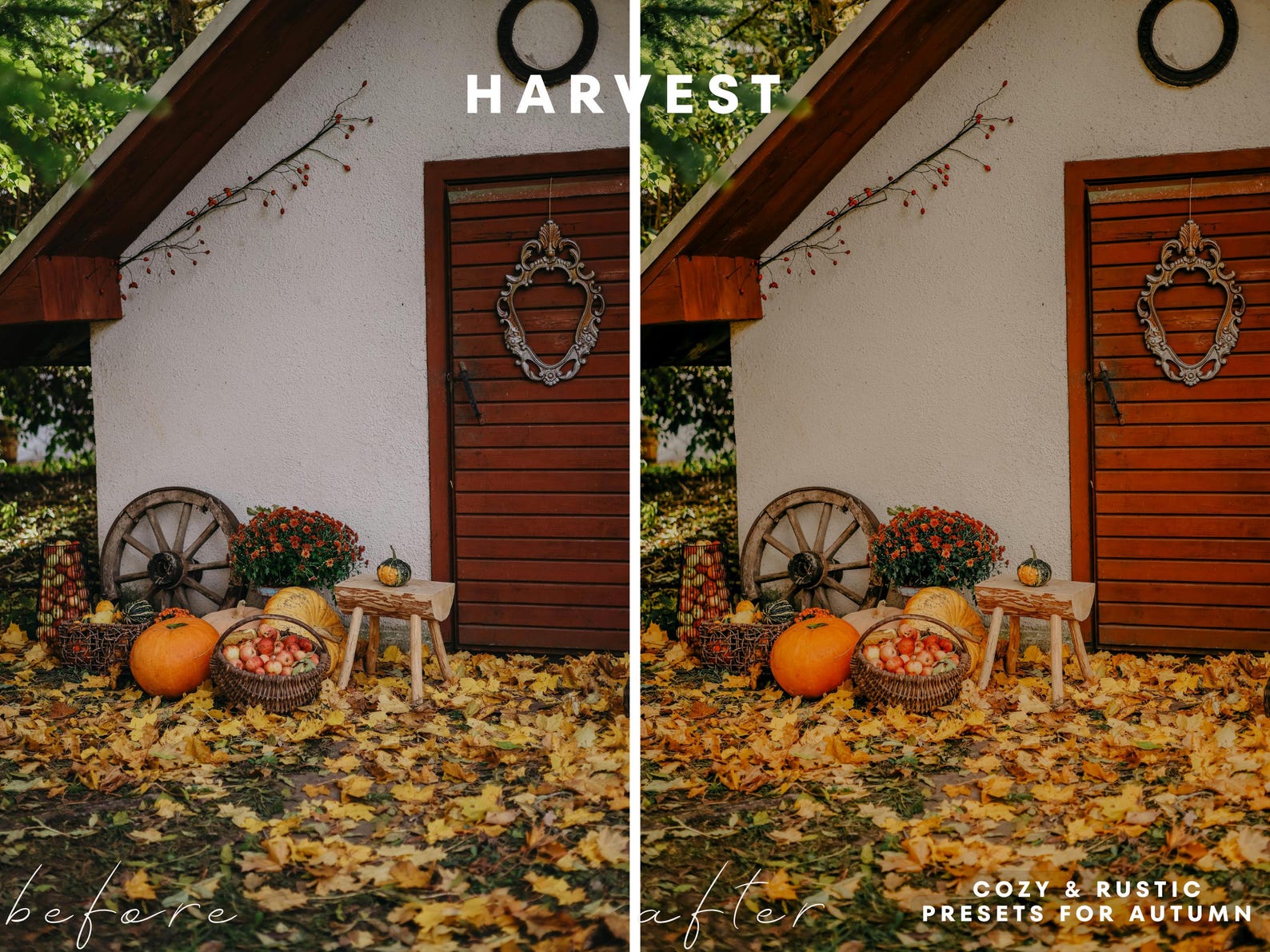 Conjunto de presets Harvest para Lightroom: Filtros rústicos e quentes ...